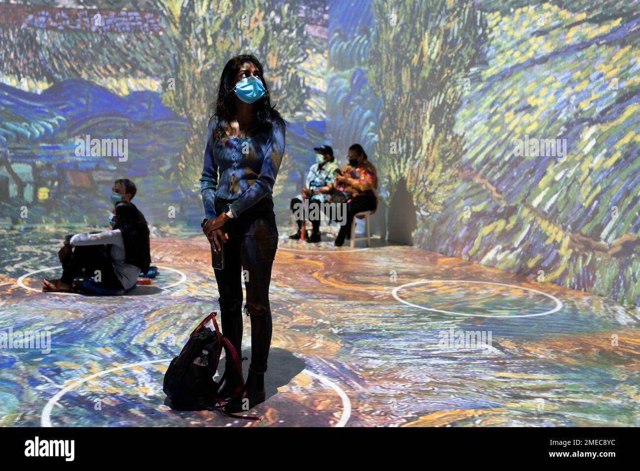 Projections of selected works of celebrated painter Vincent Van Gogh ...
