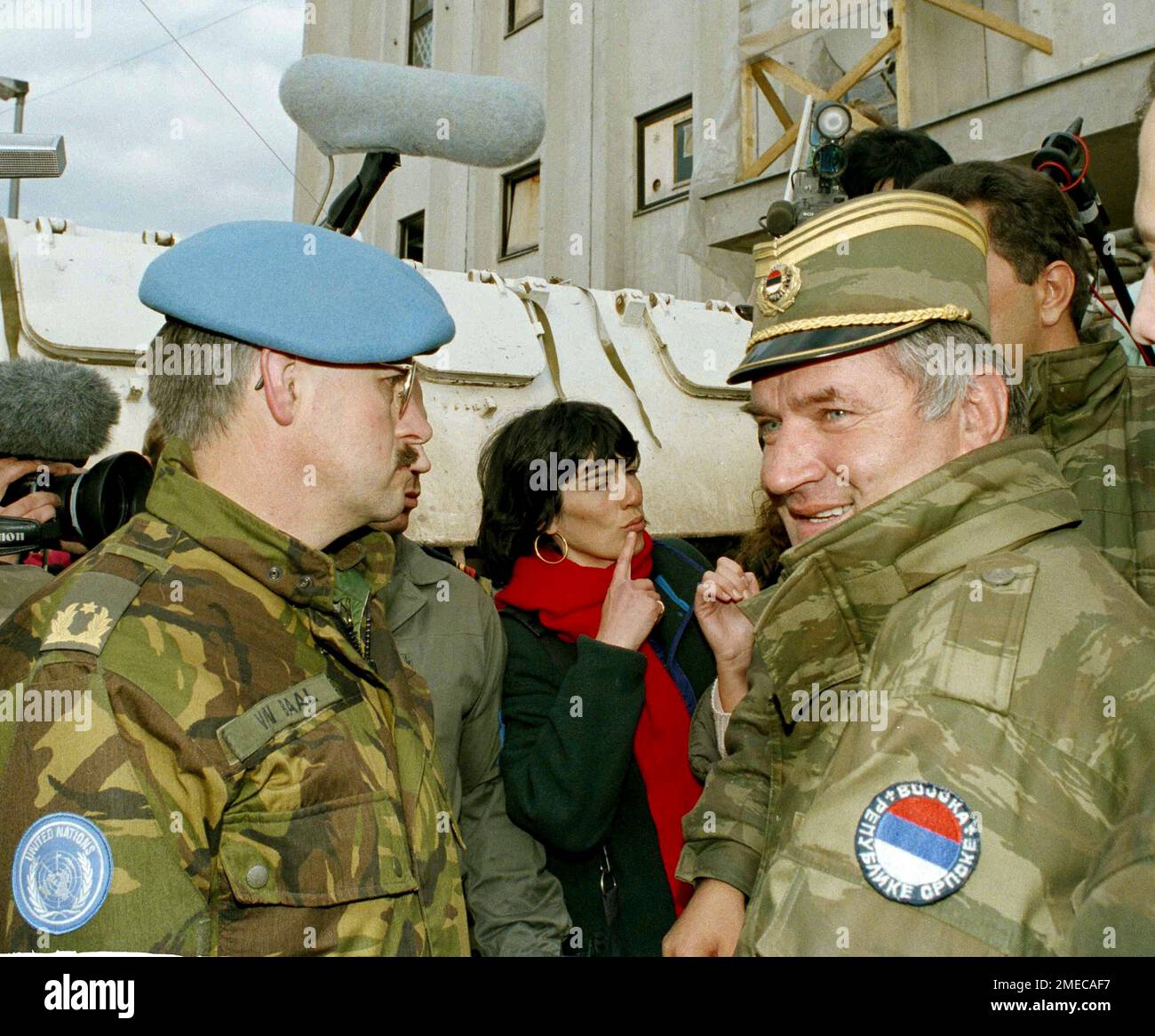 FILE - In this April 9, 1994 file photo, former Bosnian Serb commander ...