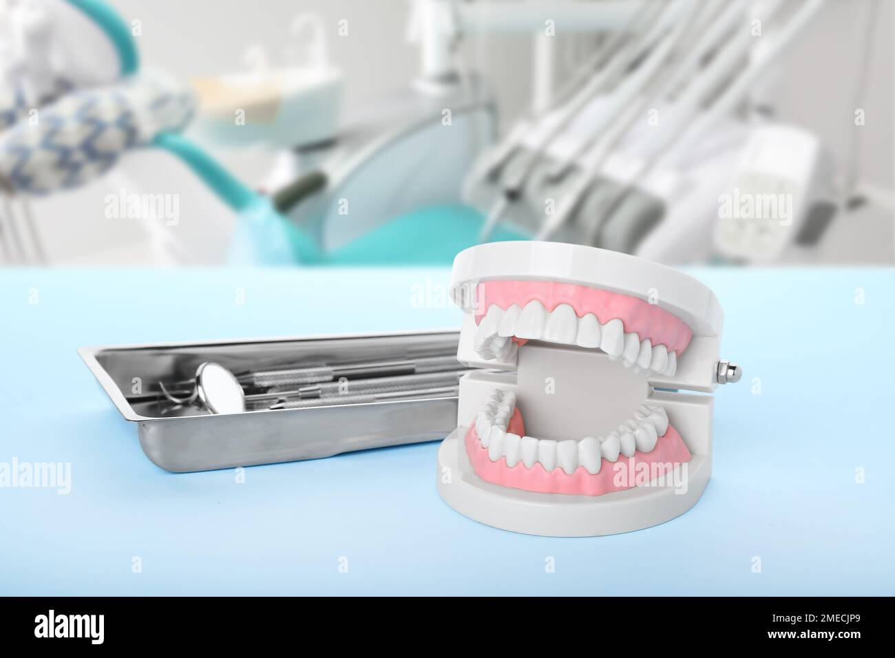 Jaw model with dental tools on table in clinic Stock Photo - Alamy
