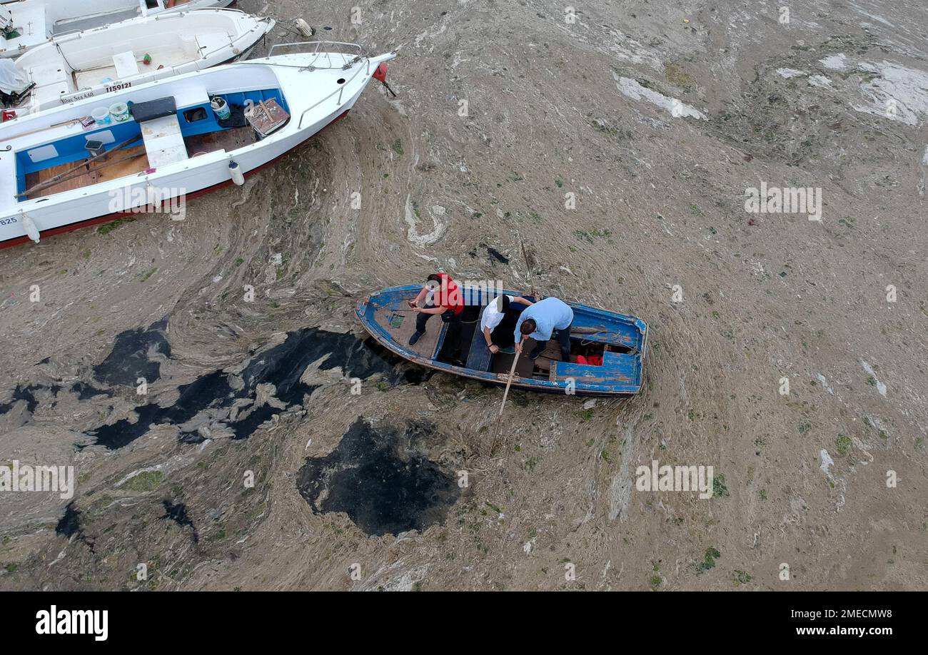 An aerial photo of Pendik port in Asian side of Istanbul, Friday, June ...