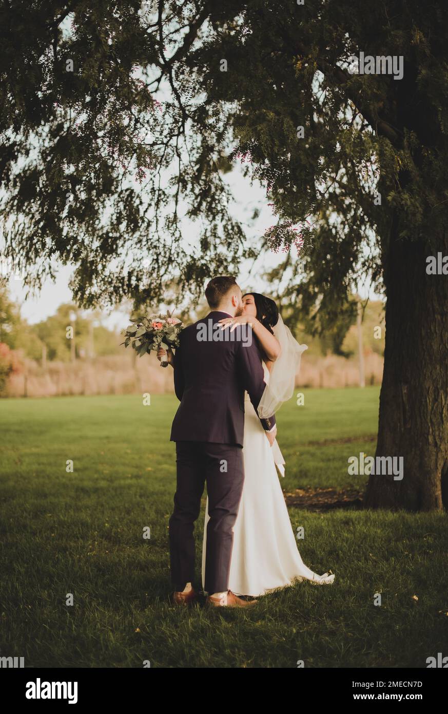 Bride and Groom Backs hugging and kissing couple no faces Stock Photo ...