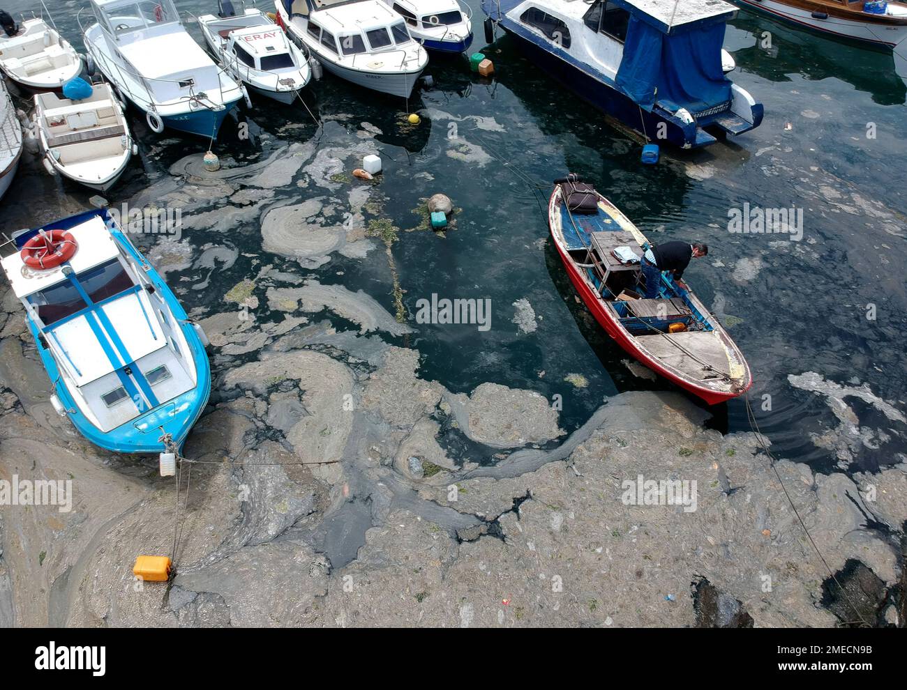 An aerial photo of Pendik port in Asian side of Istanbul, Friday, June ...