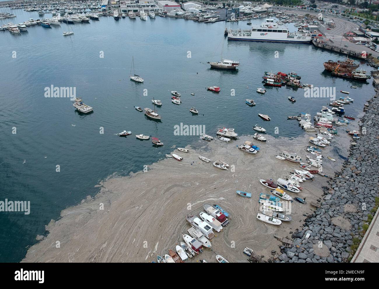 An aerial photo of Pendik port in Asian side of Istanbul, Friday, June ...