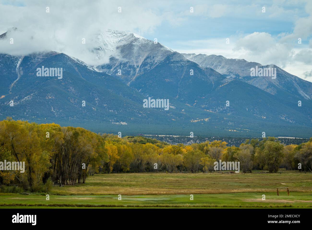 A beautiful mystery meadow surrounded trees with mountains in the ...