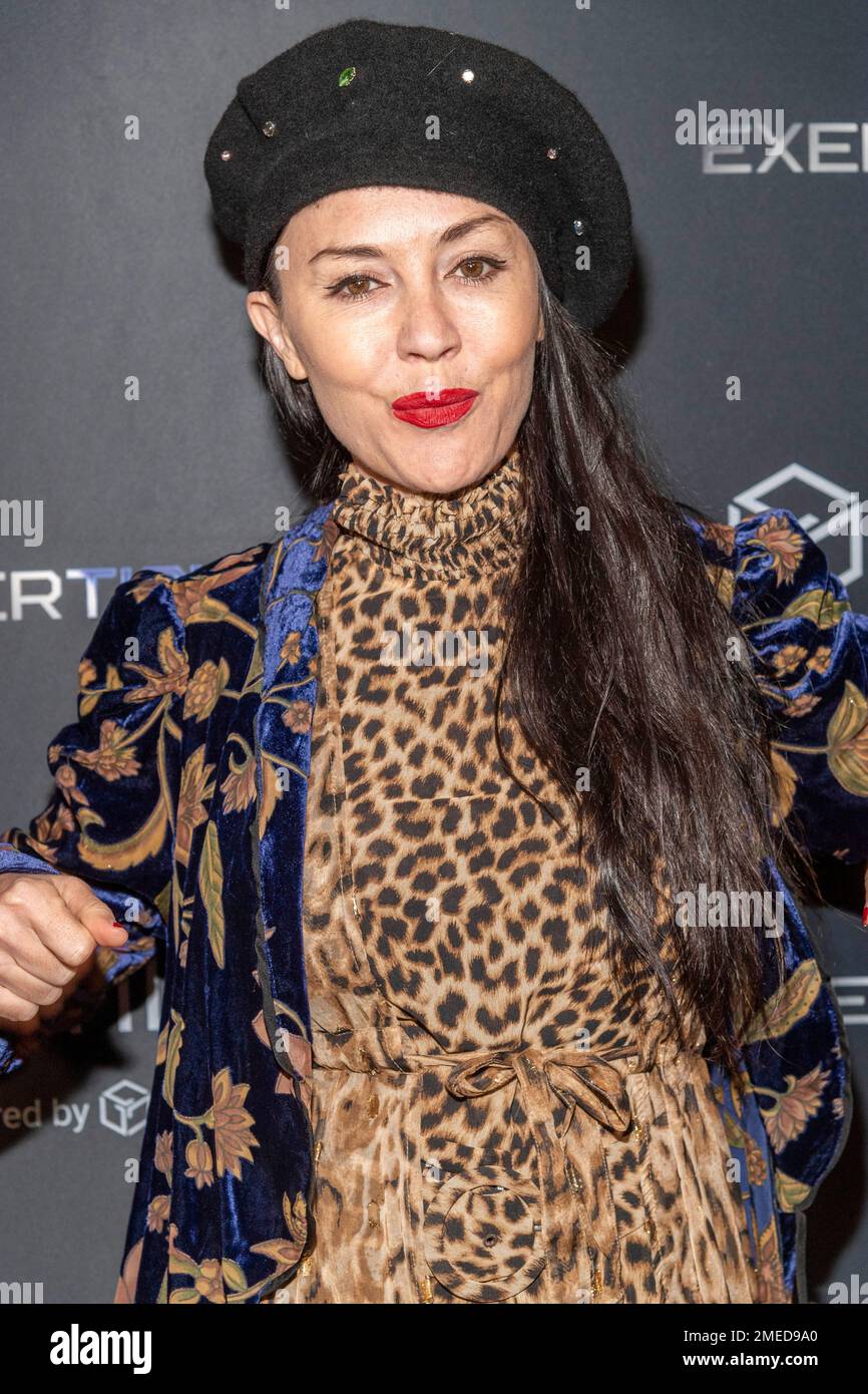 Los Angeles, USA. 23rd Jan, 2023. Dawn Ritz attends Blockchain Giant ...