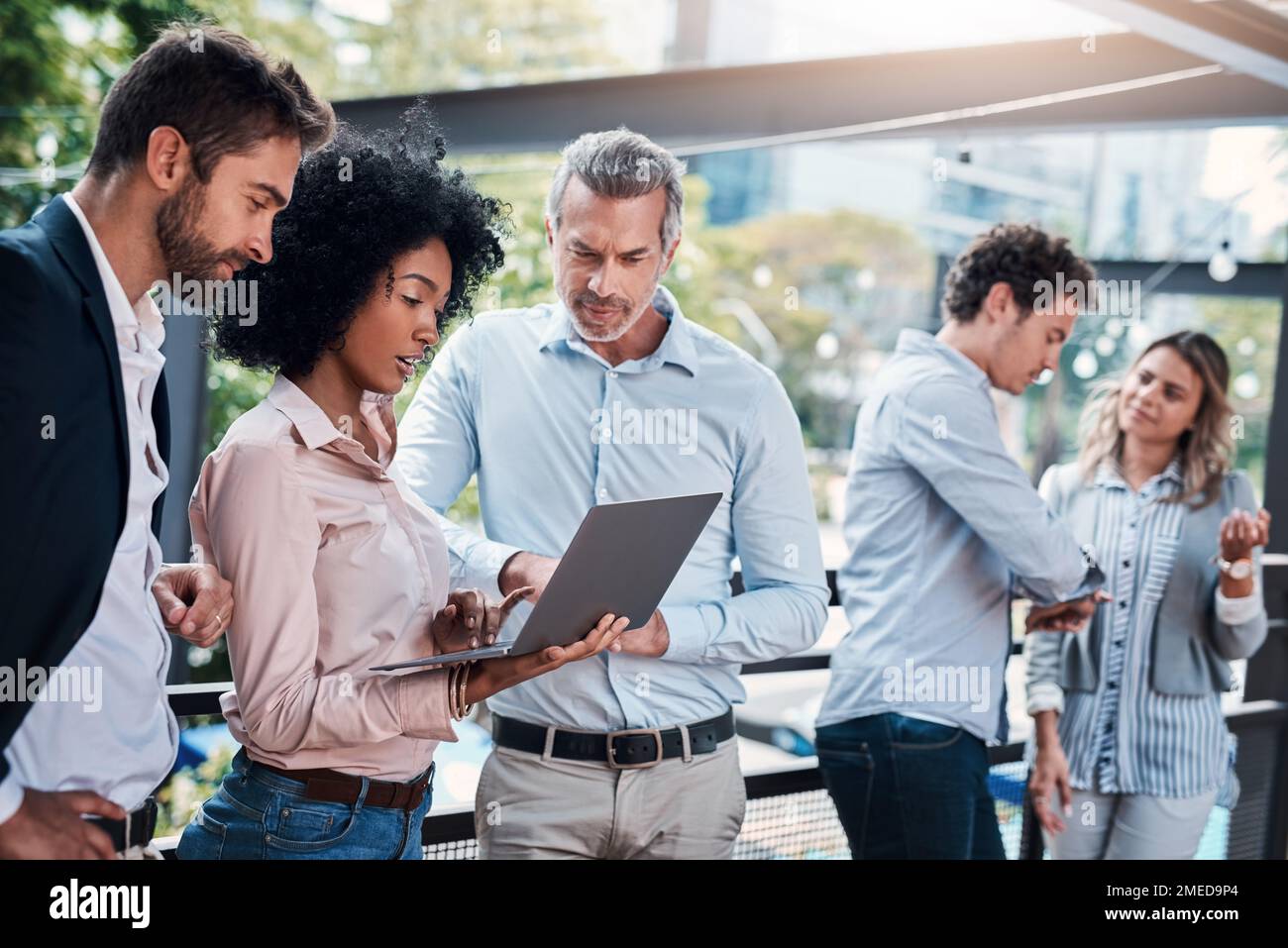 The whole team boasts top skills. a group of businesspeople working ...