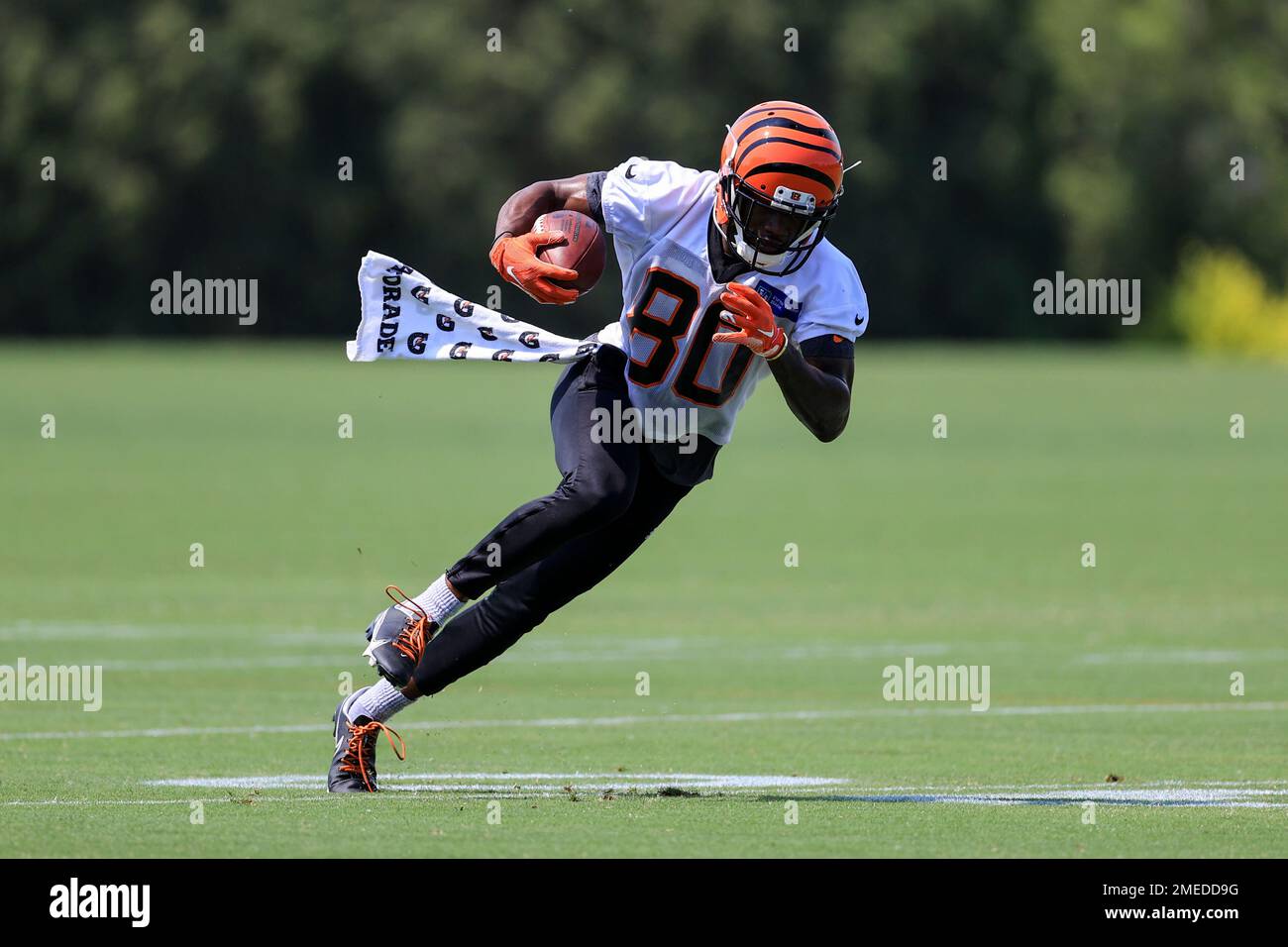 Cincinnati Bengals' wide receiver Mike Thomas (80) carries the ball ...