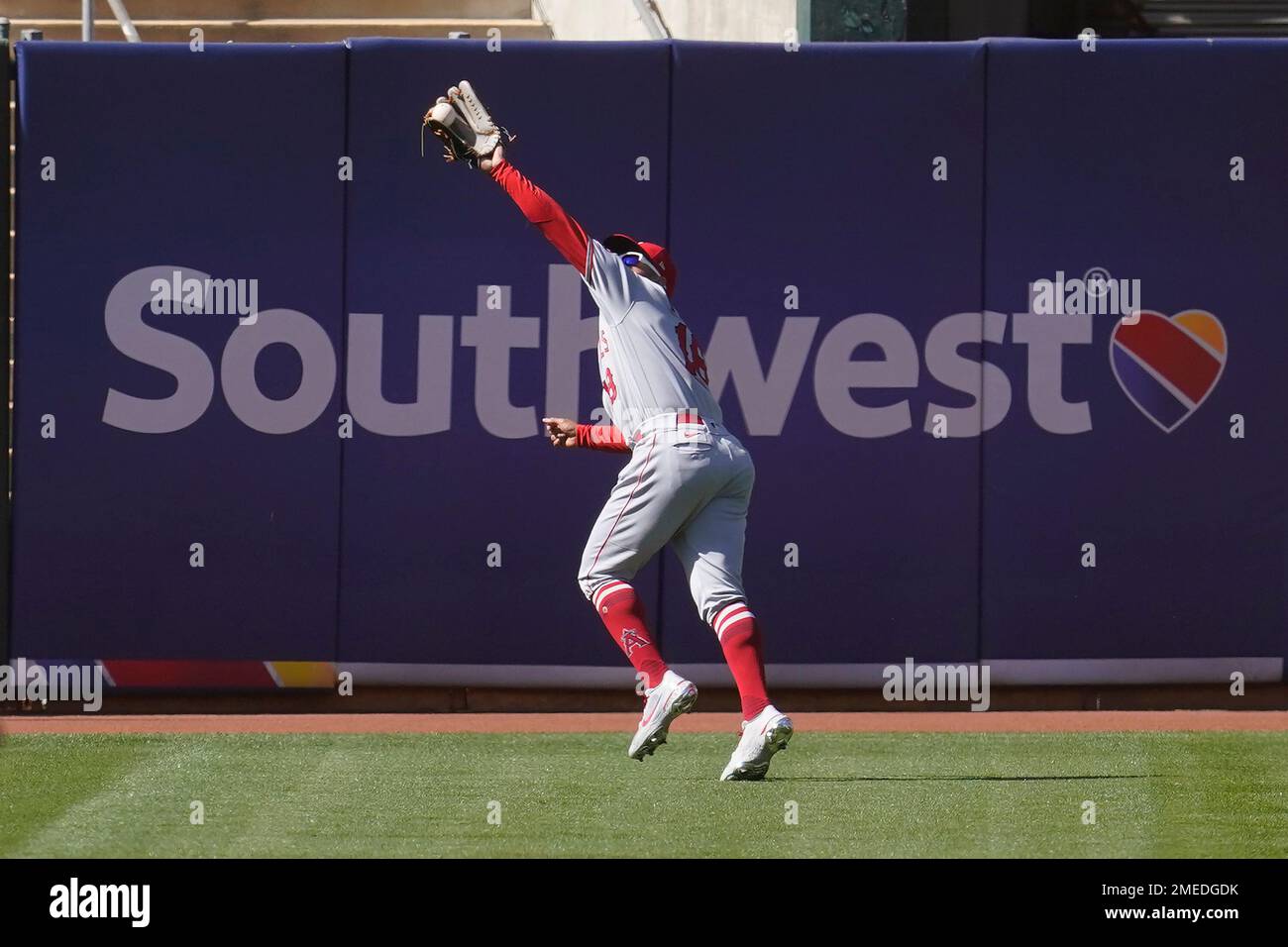 Los Angeles Angels left fielder Jose Rojas catches a fly out hit by ...