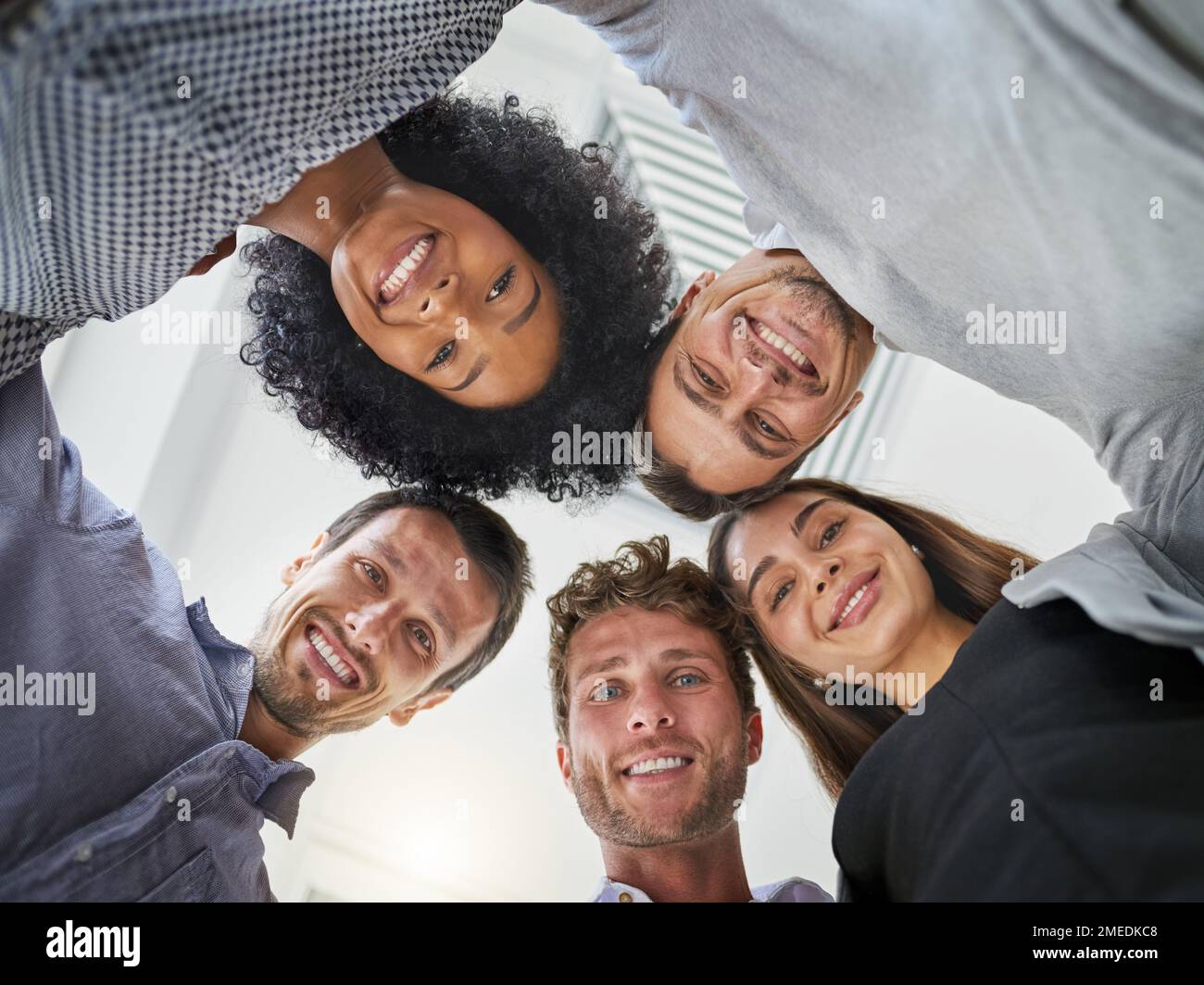 Working together as a close network of expert minds. Portrait of a ...