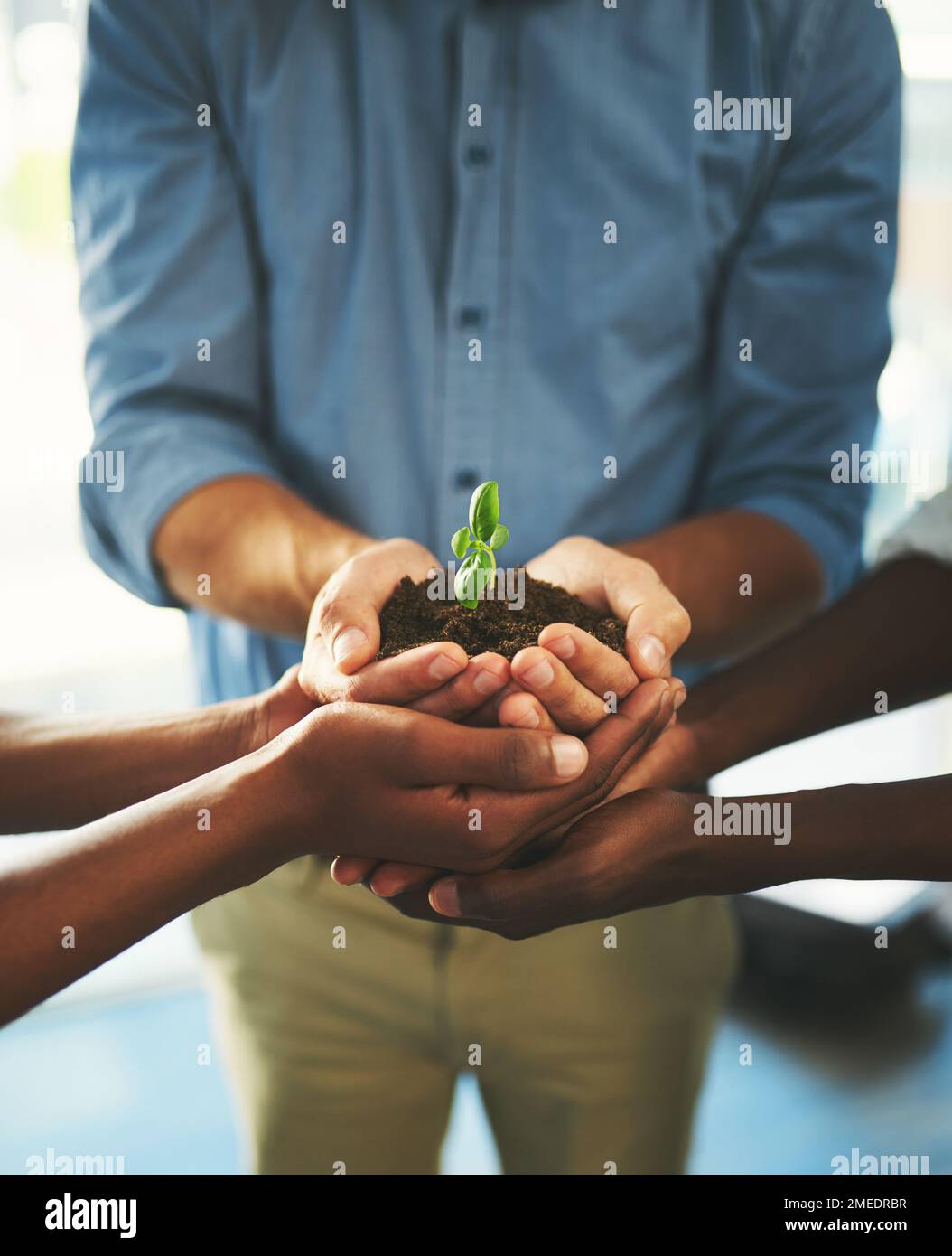 Start small and become great. Closeup shot of a group of unrecognizable ...