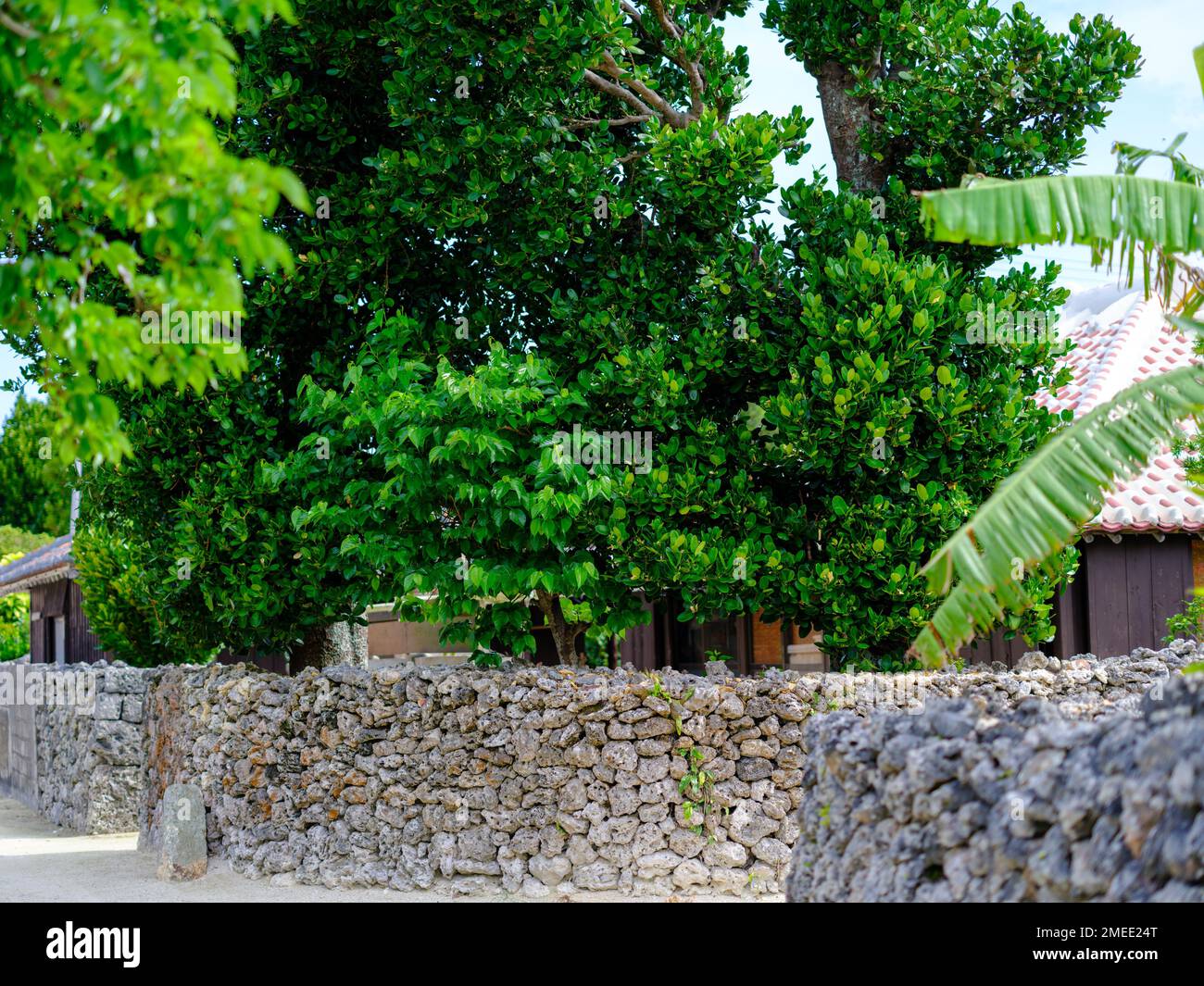 Stone Wall in Taketomi Island, Okinawa Prefecture, Japan Stock Photo ...