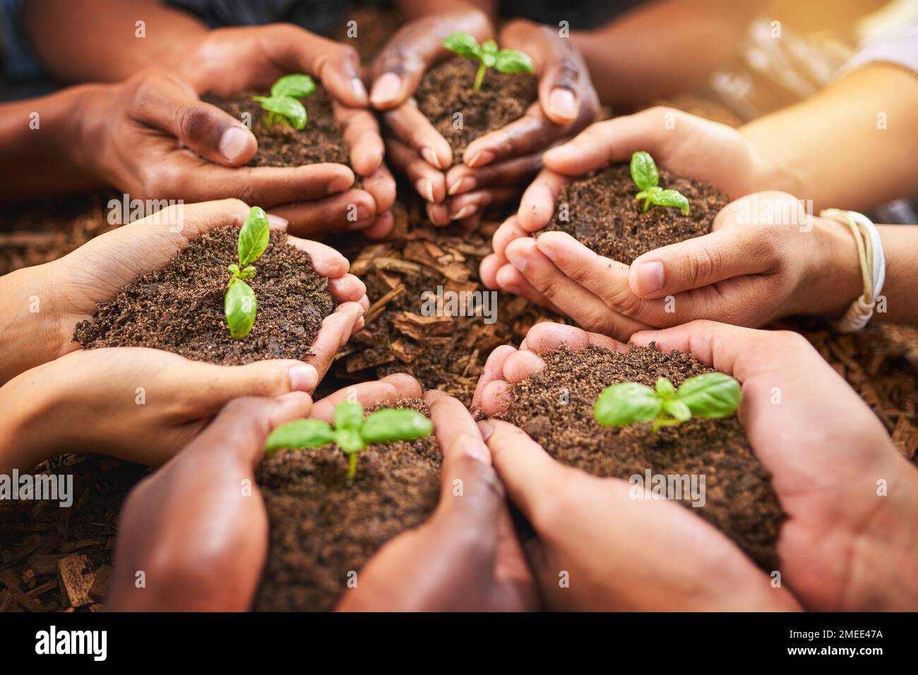 Grown from the ground up. a group of people holding plants growing out ...