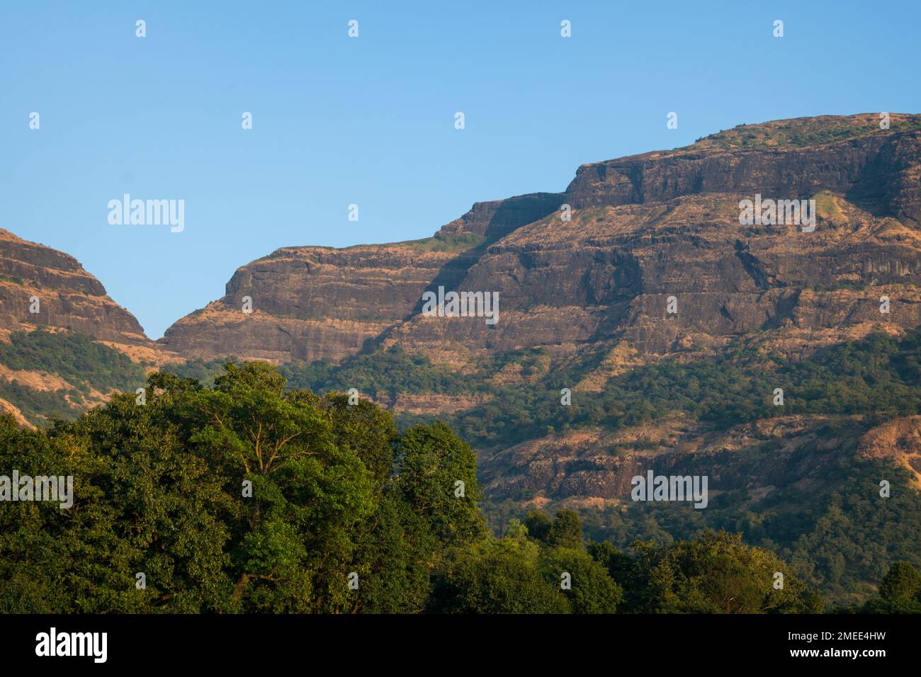 Beautiful green landscape with hills in the background at Arthur Lake ...