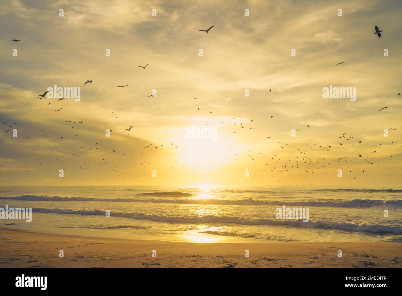 Golden sunset over the Pcific ocean. Sun setting down the horizon ...