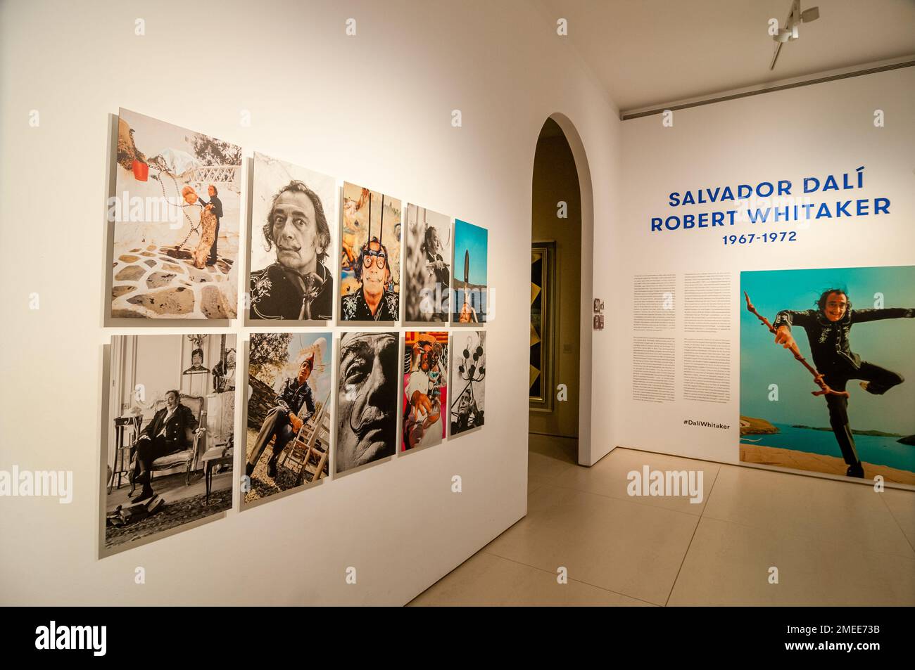 Exhibition of portraits of Salvador Dalí by Robert Whitaker, Dalí ...