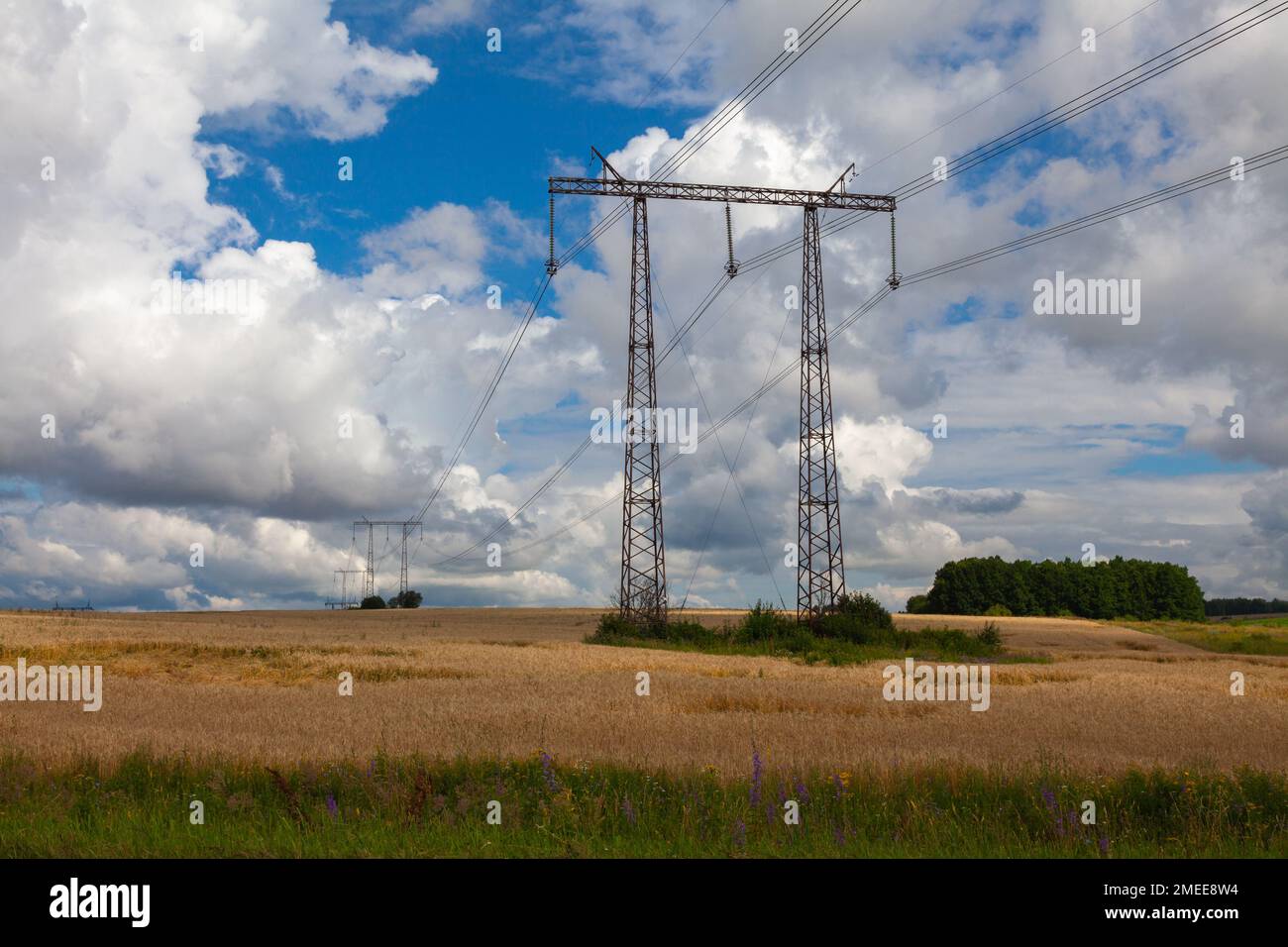 High voltage power line running through a wheat field Stock Photo - Alamy
