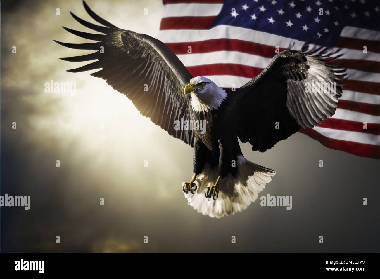 American Flag Vintage Eagle