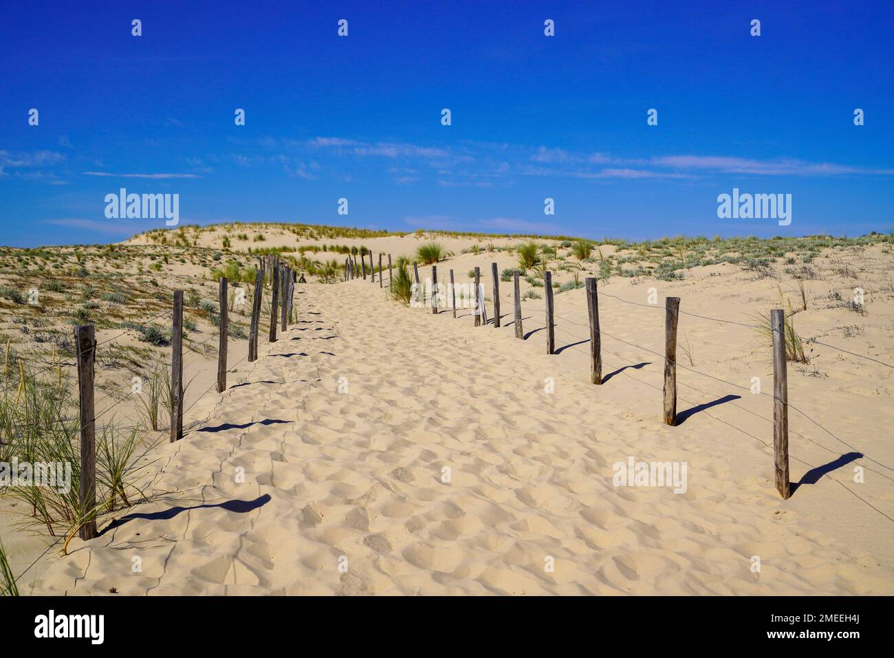 Beach sand Path fence Through Dunes access sea in Lacanau ocean ...