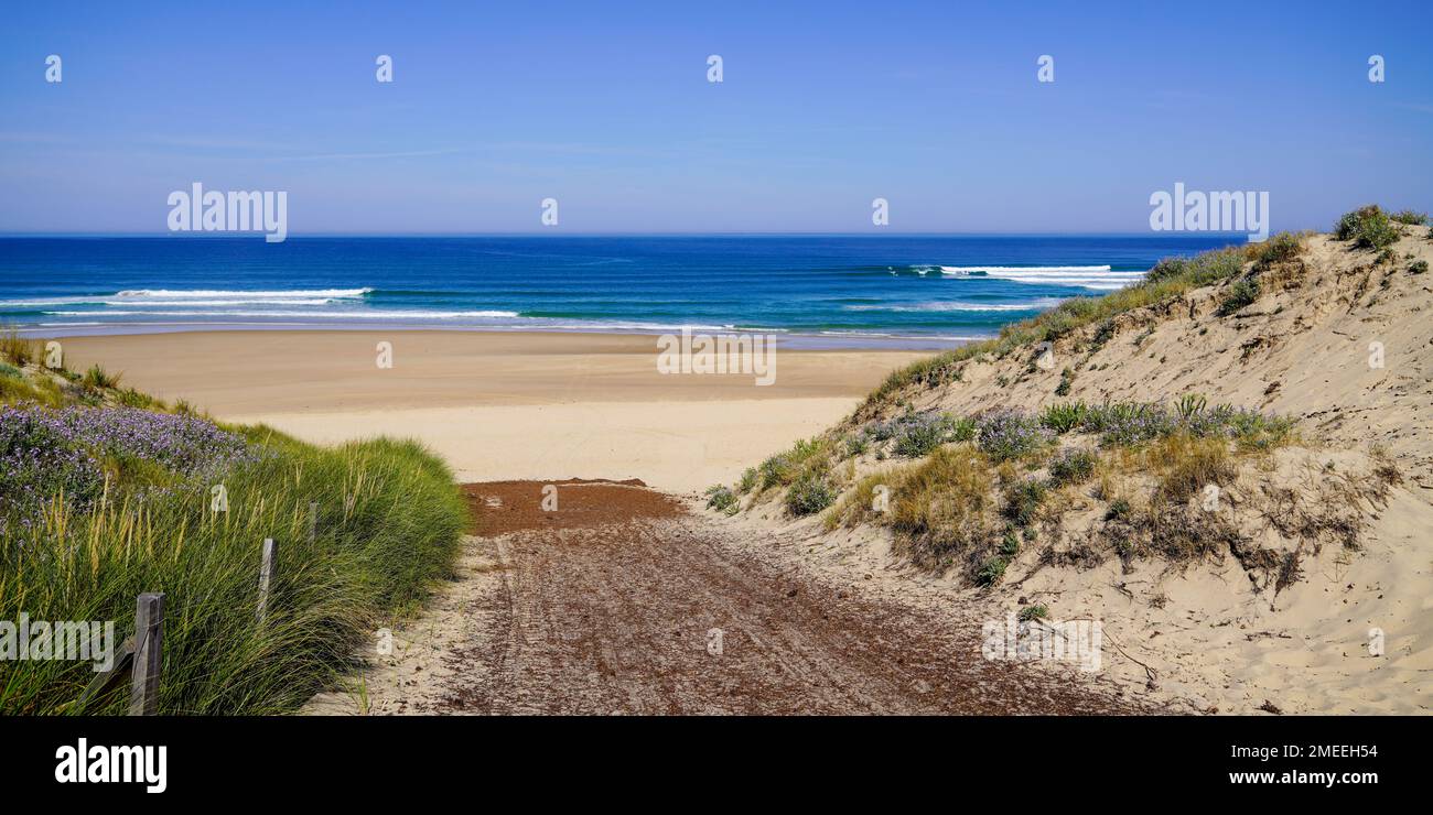 Wooden sandy path access to le porge beach in gironde france Stock ...