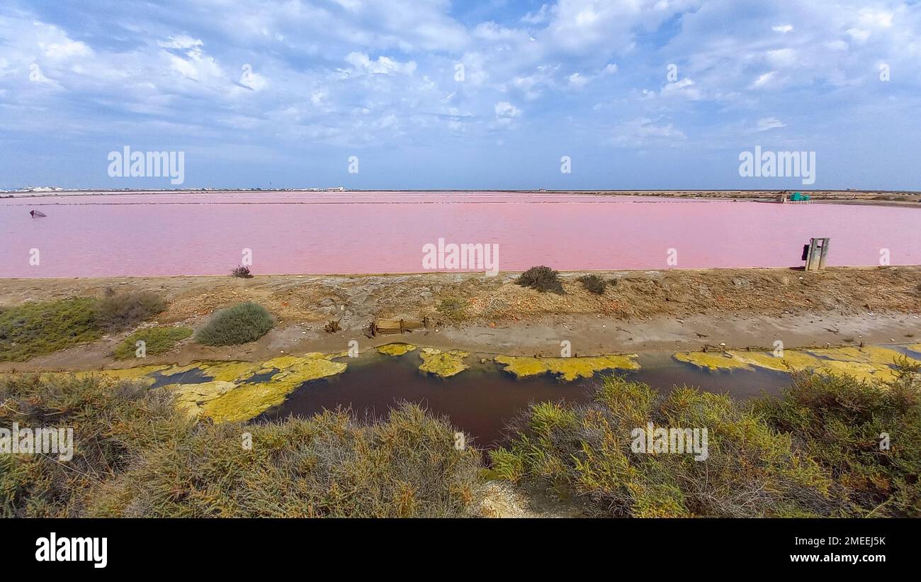 salt natural exploitation of sea saline in Gruissan Aude french Stock ...