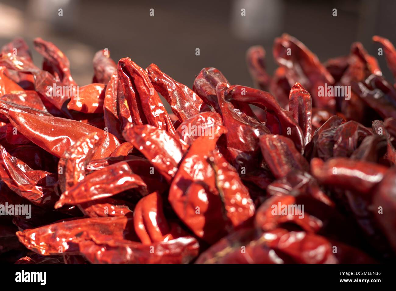 A closeup shot of dry red chilli with shining skin against the isolated ...