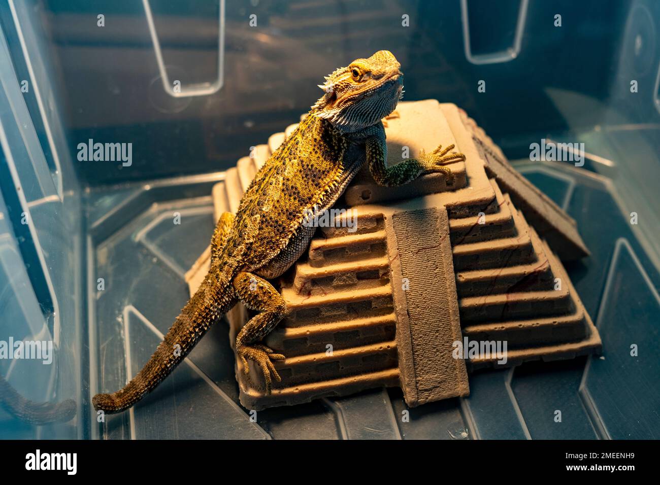 Pyramid of the dragon hi-res stock photography and images - Alamy