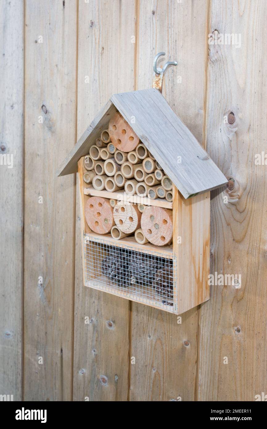 Bug hotel on wall hi-res stock photography and images - Alamy
