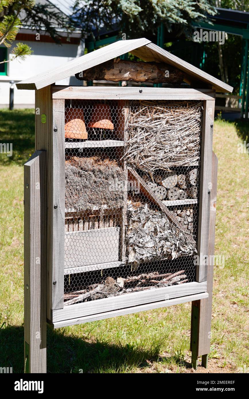 insects bug hotel like wood insect house ladybird and wooden bee home ...