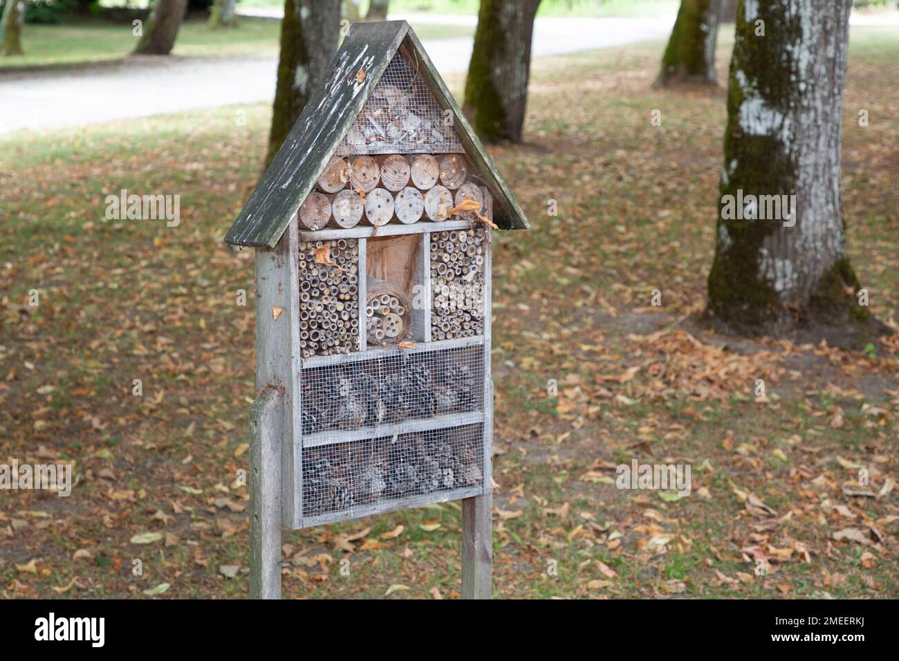 bug hotel wood insect house ladybird wooden bee home in natural ...