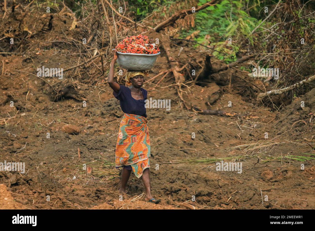 Local African People doing daily job in Ghana Village, Western Africa ...