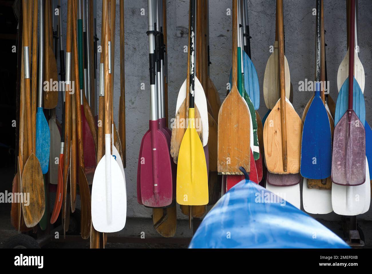 Paddles hanging on a wall Stock Photo - Alamy
