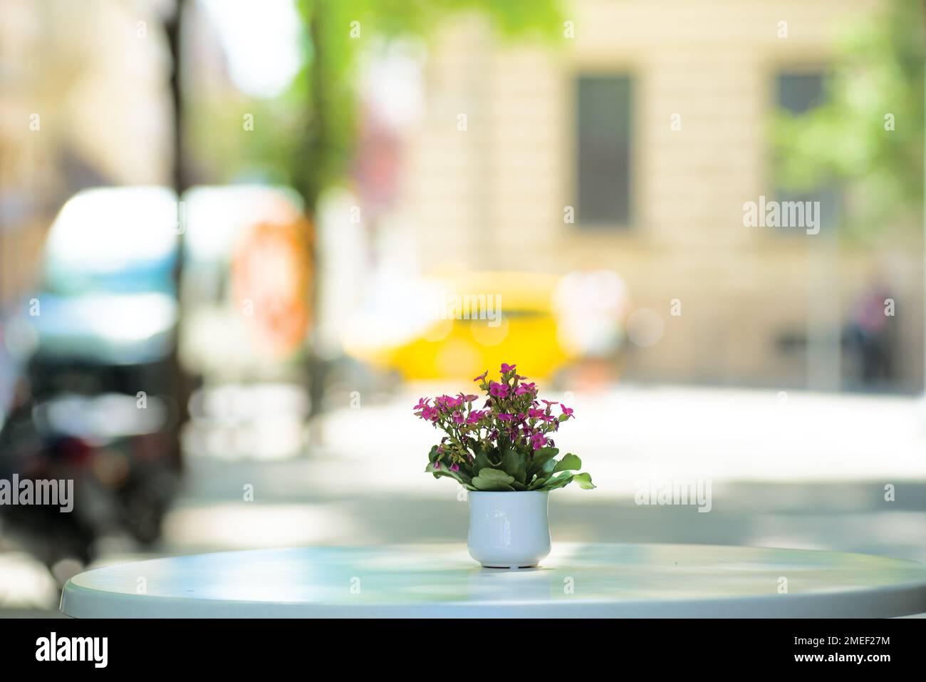 Cafe flowers exterior hi-res stock photography and images - Alamy