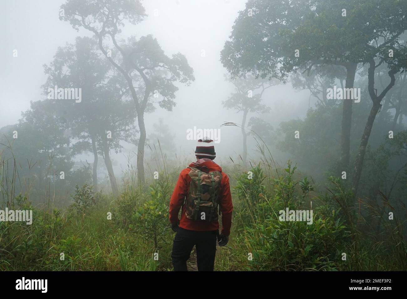 A man hiking up the green mountain ridge with cloudy blue sky Stock ...