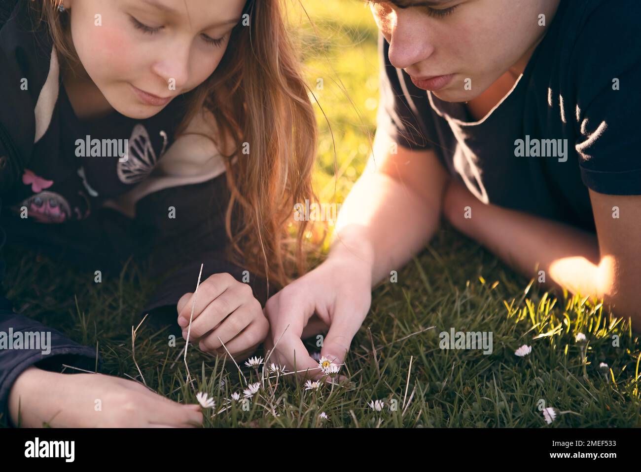 Brother and sister, siblings, boy and girl, children during sunset, on ...
