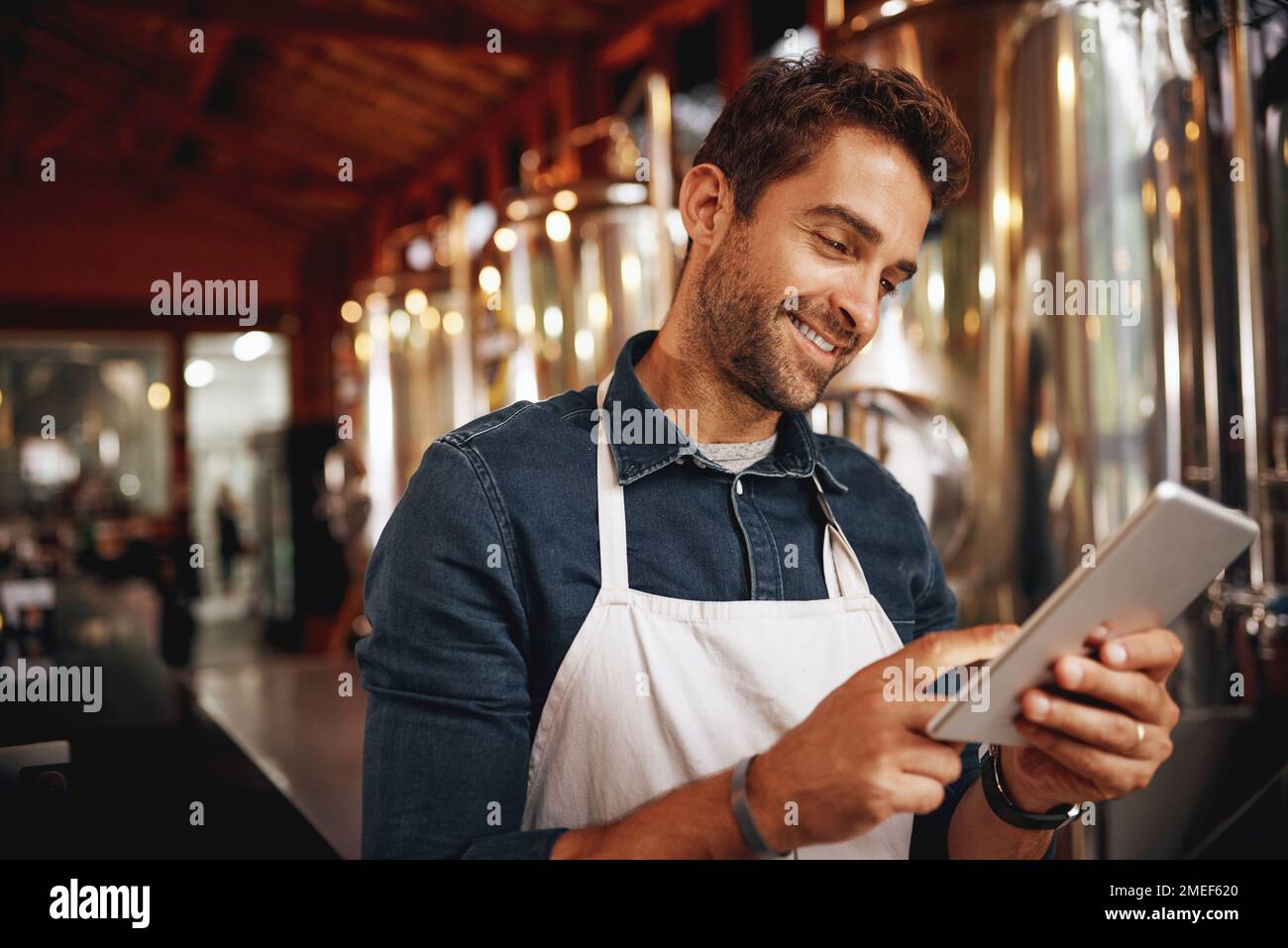 Looks like were doing good this month. a cheerful young barman browsing ...