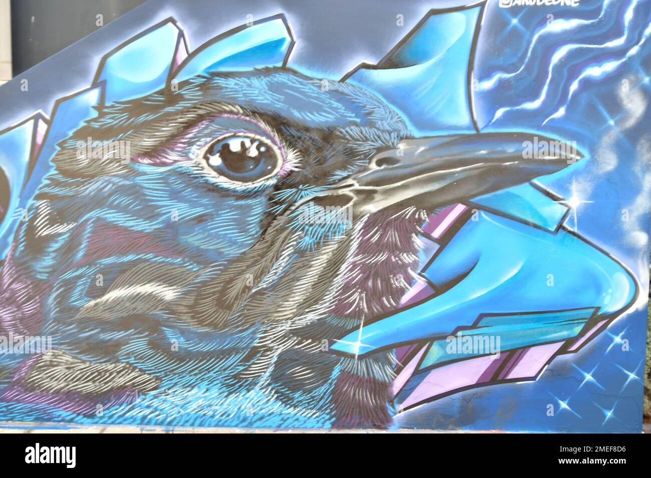 Black crow graffiti hi-res stock photography and images - Alamy