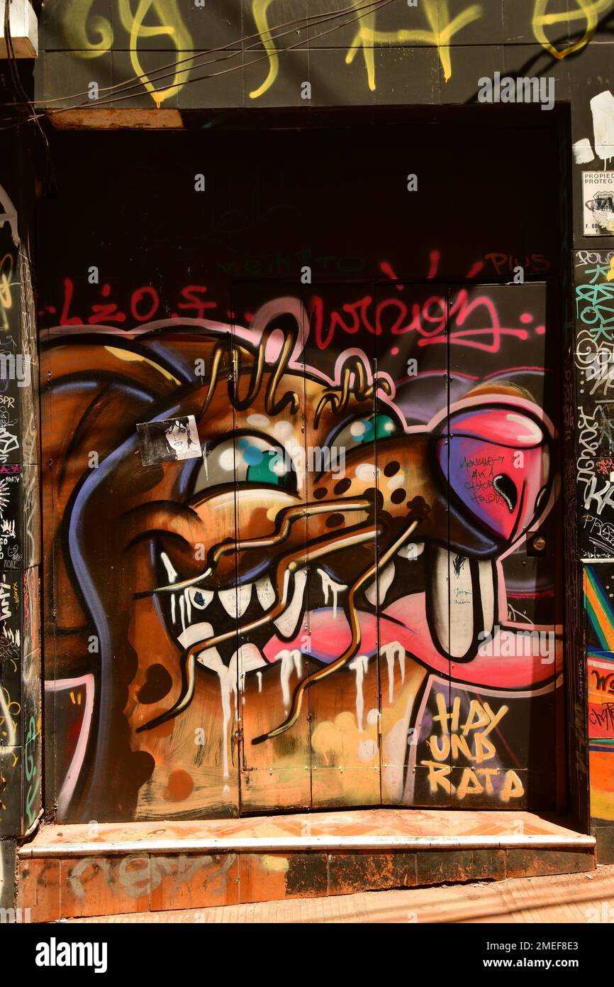 Rat Street art graffiti in Valparaiso Chile colorfull Stock Photo - Alamy