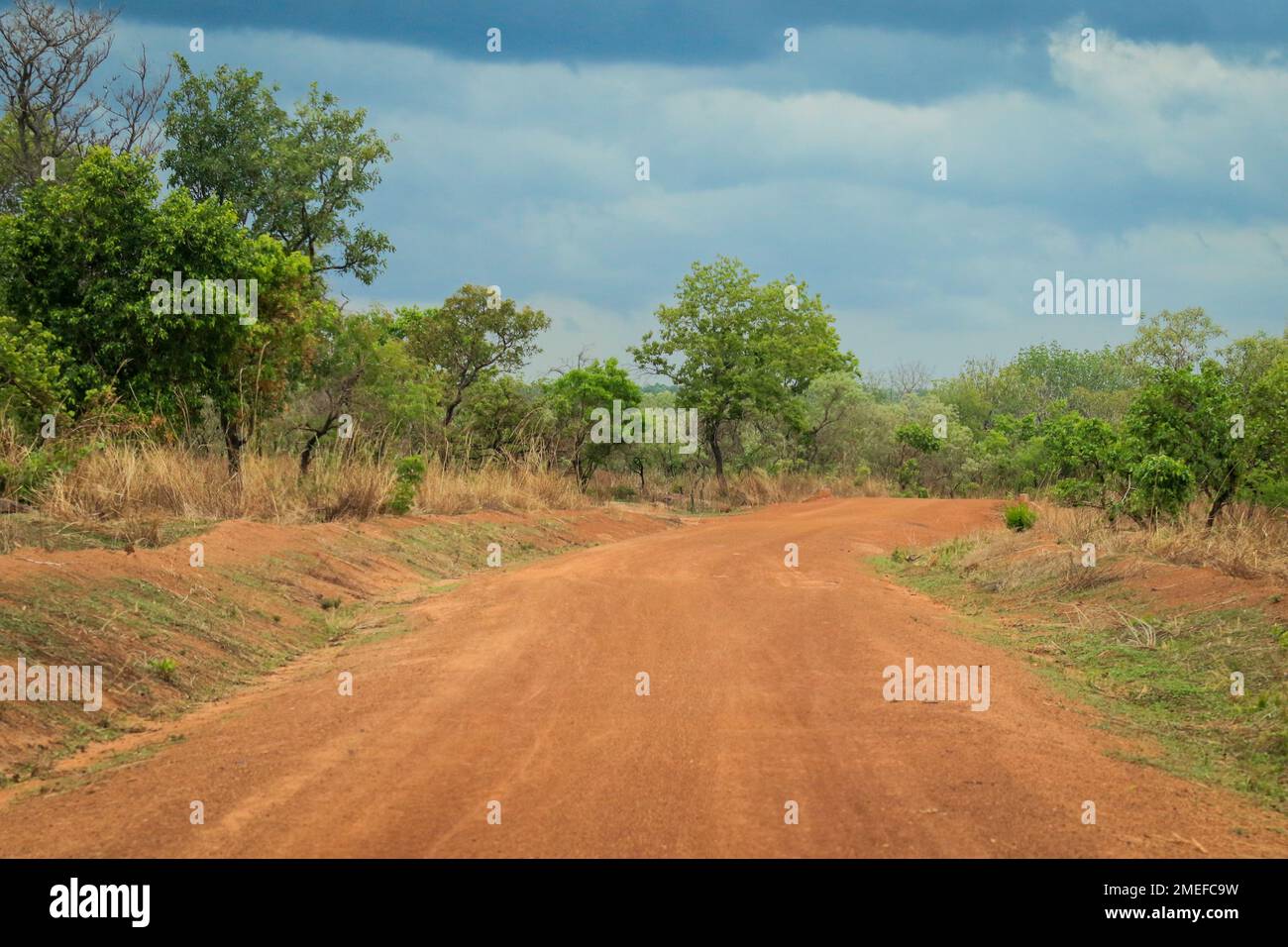 Nature of the National Park Mole in Ghana, Wester Africa Stock Photo ...