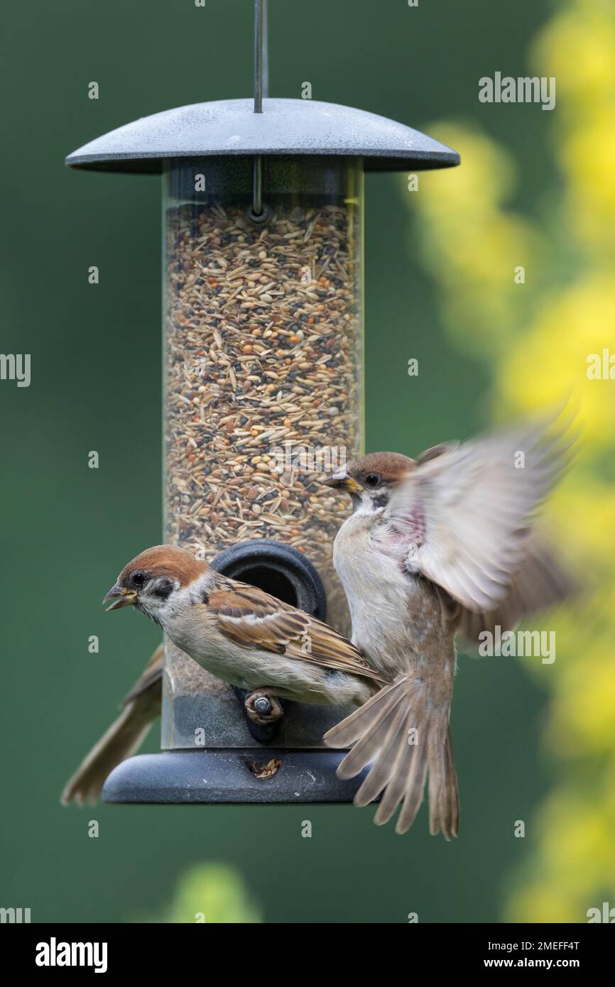 Anfangen hi-res stock photography and images - Alamy