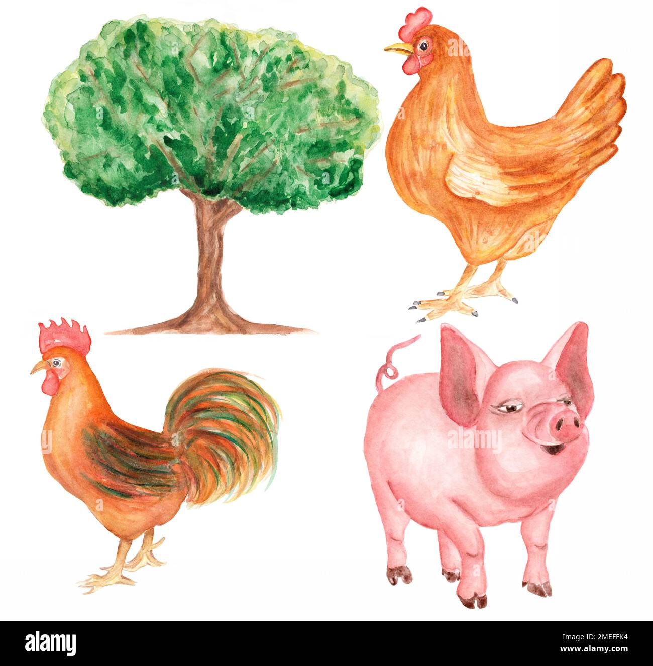 Farm Animals Clipart, Watercolor hand drawn ruster and cock Clip art ...