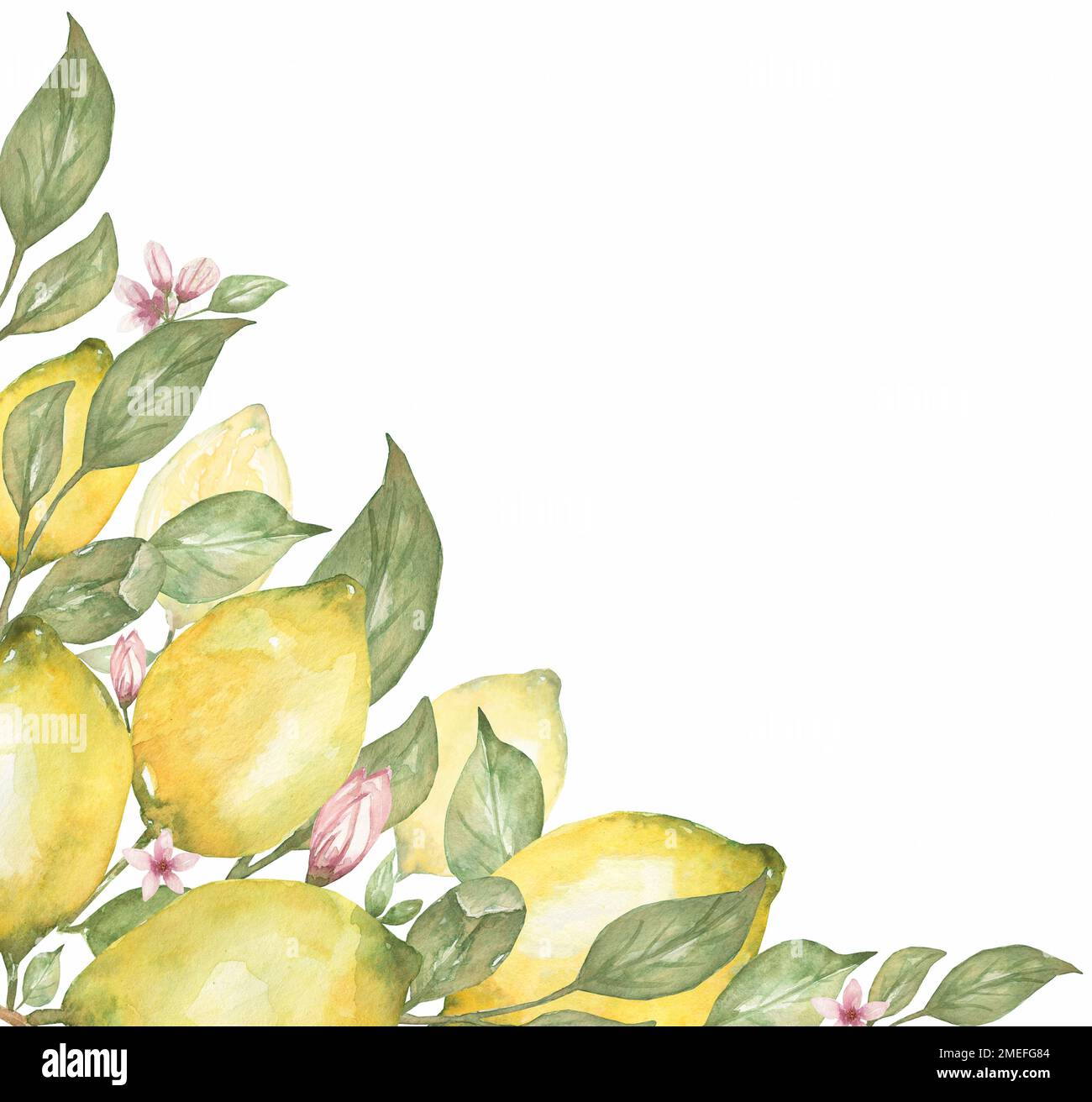 Watercolor Lemon Frame Clipart, Tropical Exotic fruit border, floral ...