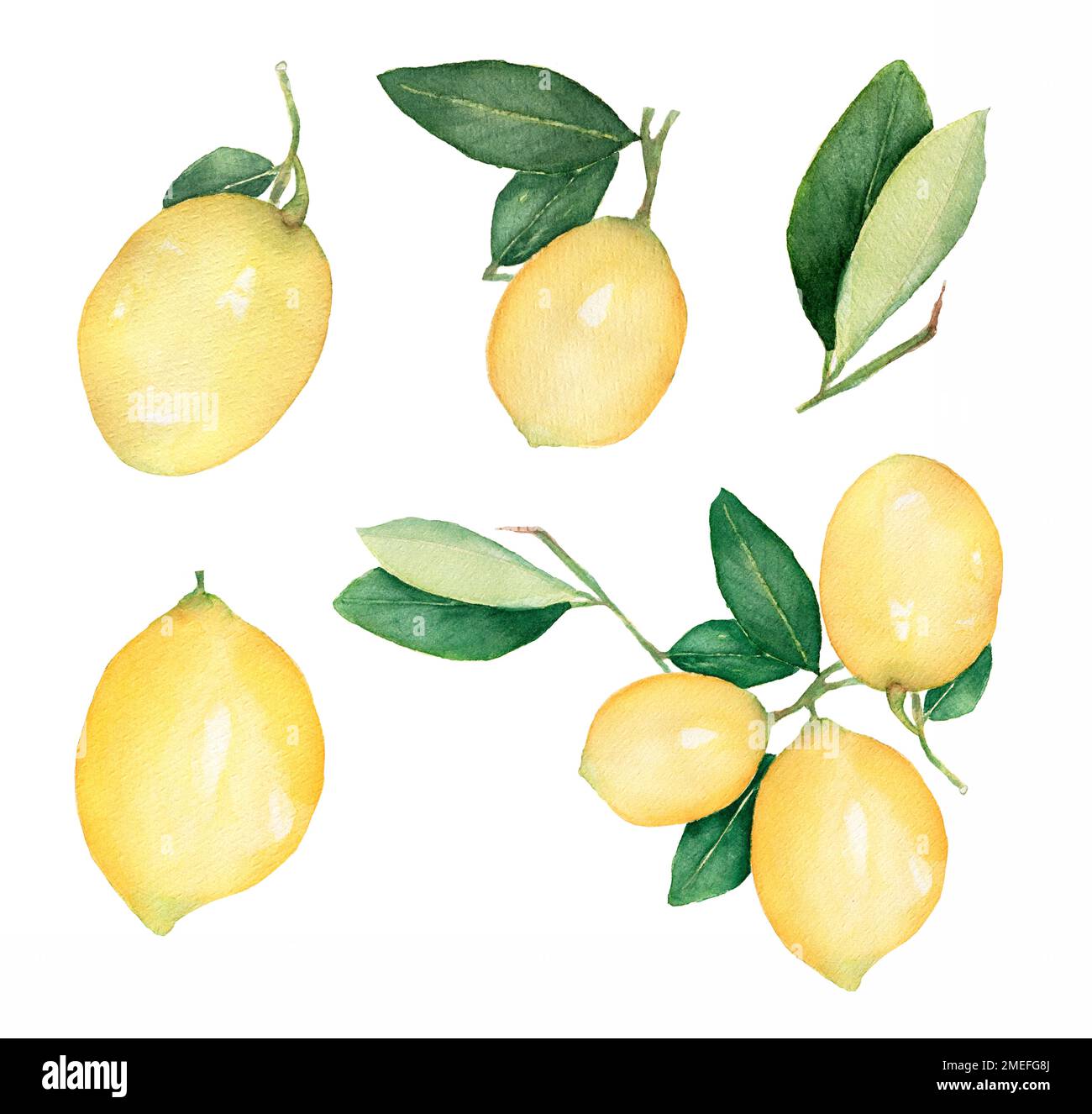 Lemon set Clipart, Watercolor hand drawn Tropical Yellow Fruit Clip art ...