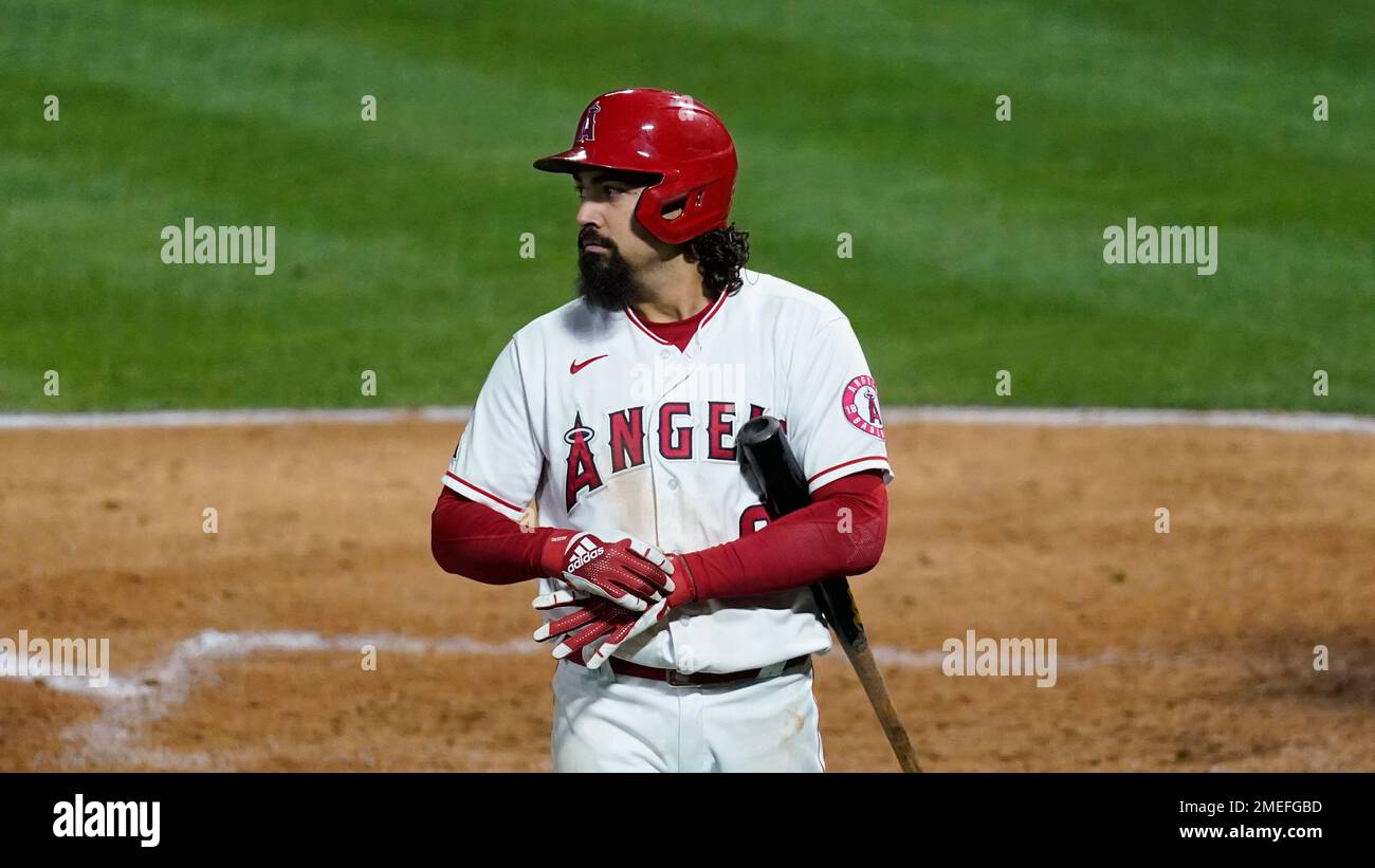 Los Angeles Angels' Anthony Rendon (6) steps up to bat during a ...