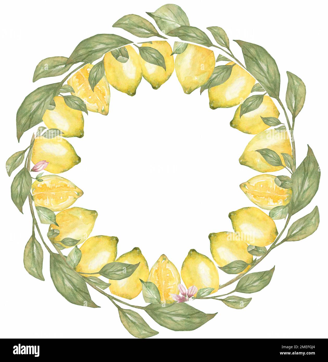 Fruit Wreath Clip Art at Aurora Mcdonald blog