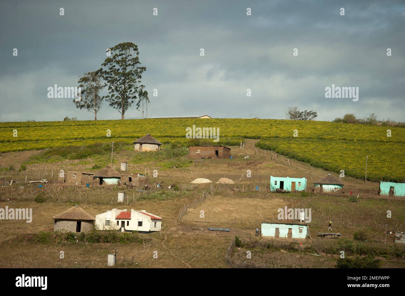 Farms on hill, Swazeni district, Pondoland, Eastern Cape, Transkei ...