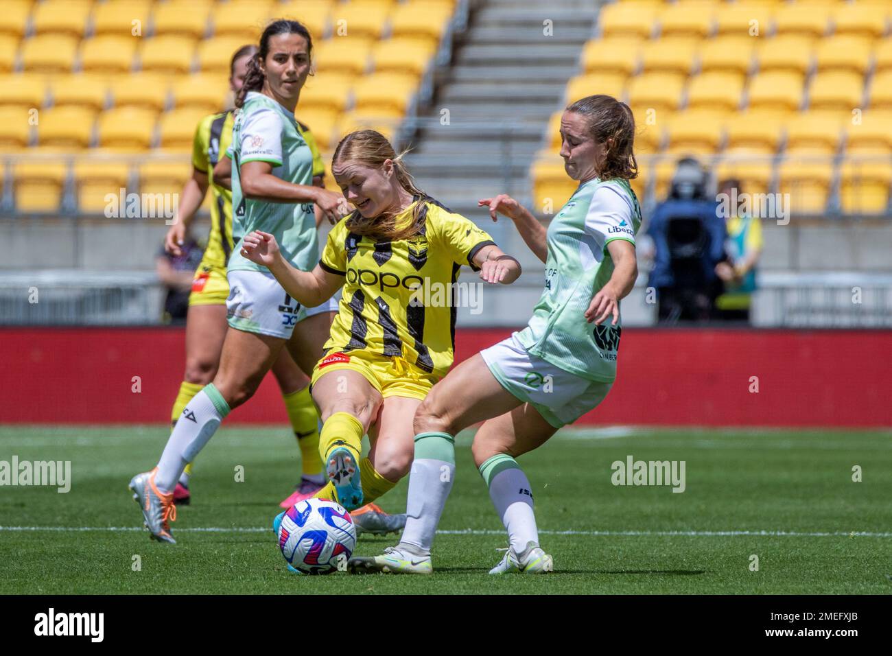Wellington, New Zealand. 22nd Jan, 2023. Wellington, New Zealand ...