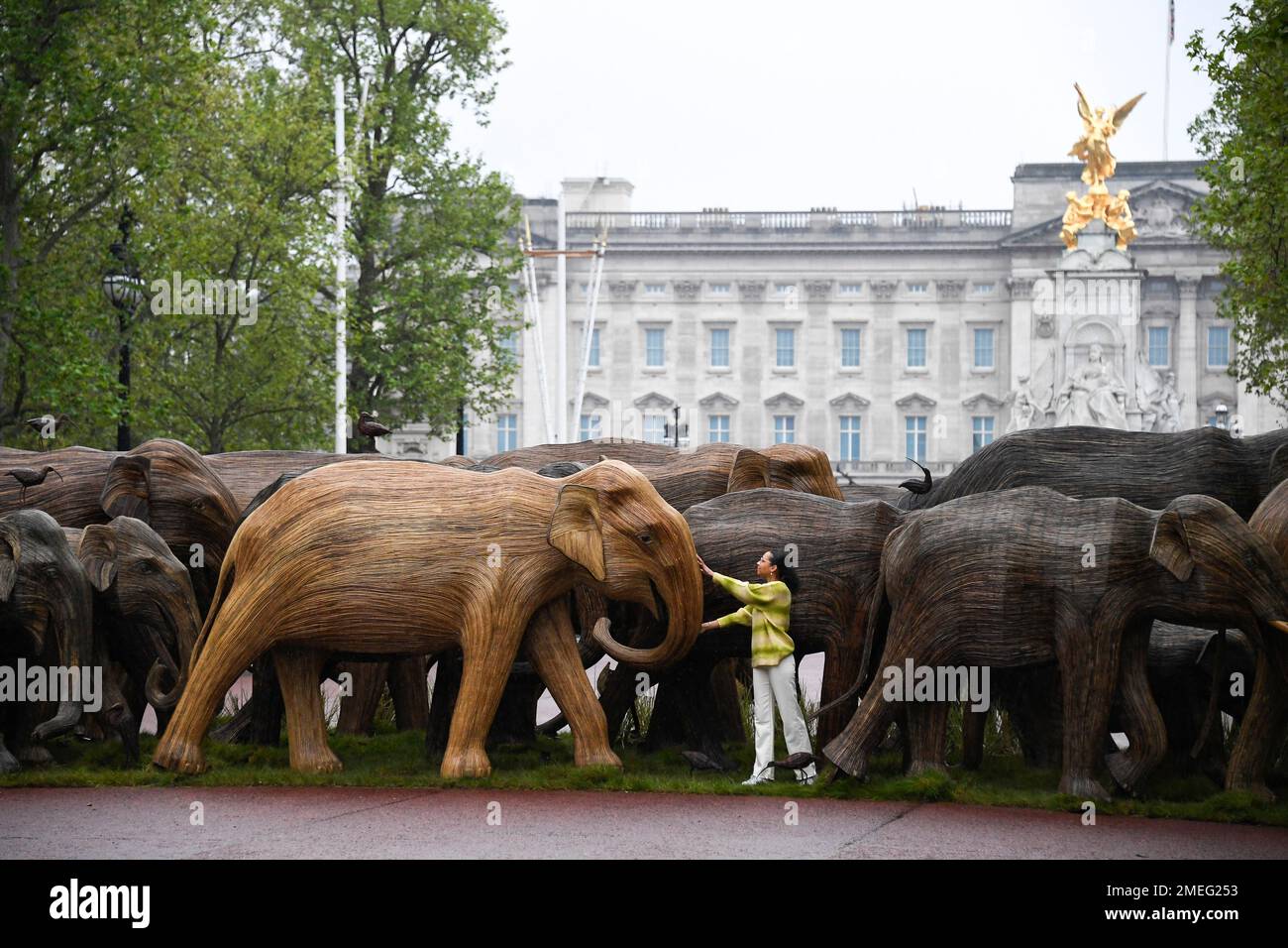 A member of The Elephant Family trust interacts with a life-size ...