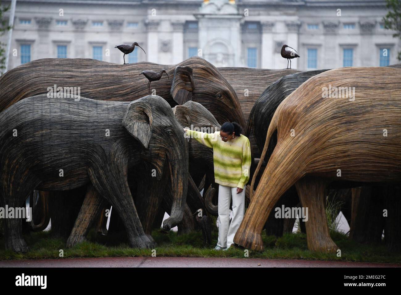 A member of The Elephant Family trust interacts with a life-size ...