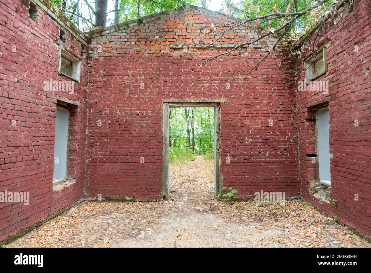 A ruined, brick building in a summer forest, an old and unnecessary ...