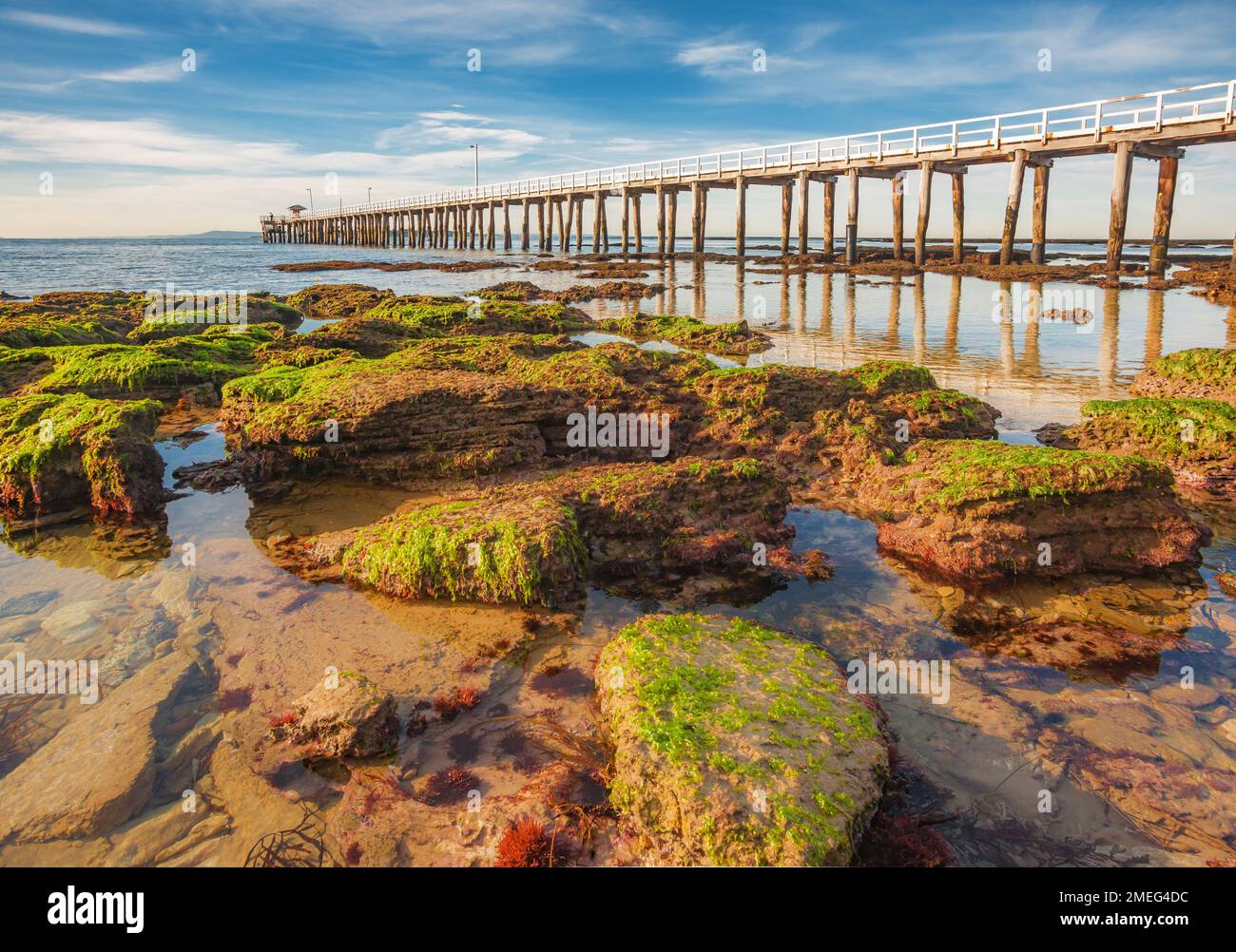Australia, Victoria, Bellarine Peninsula, Port Philip Bay, Point ...